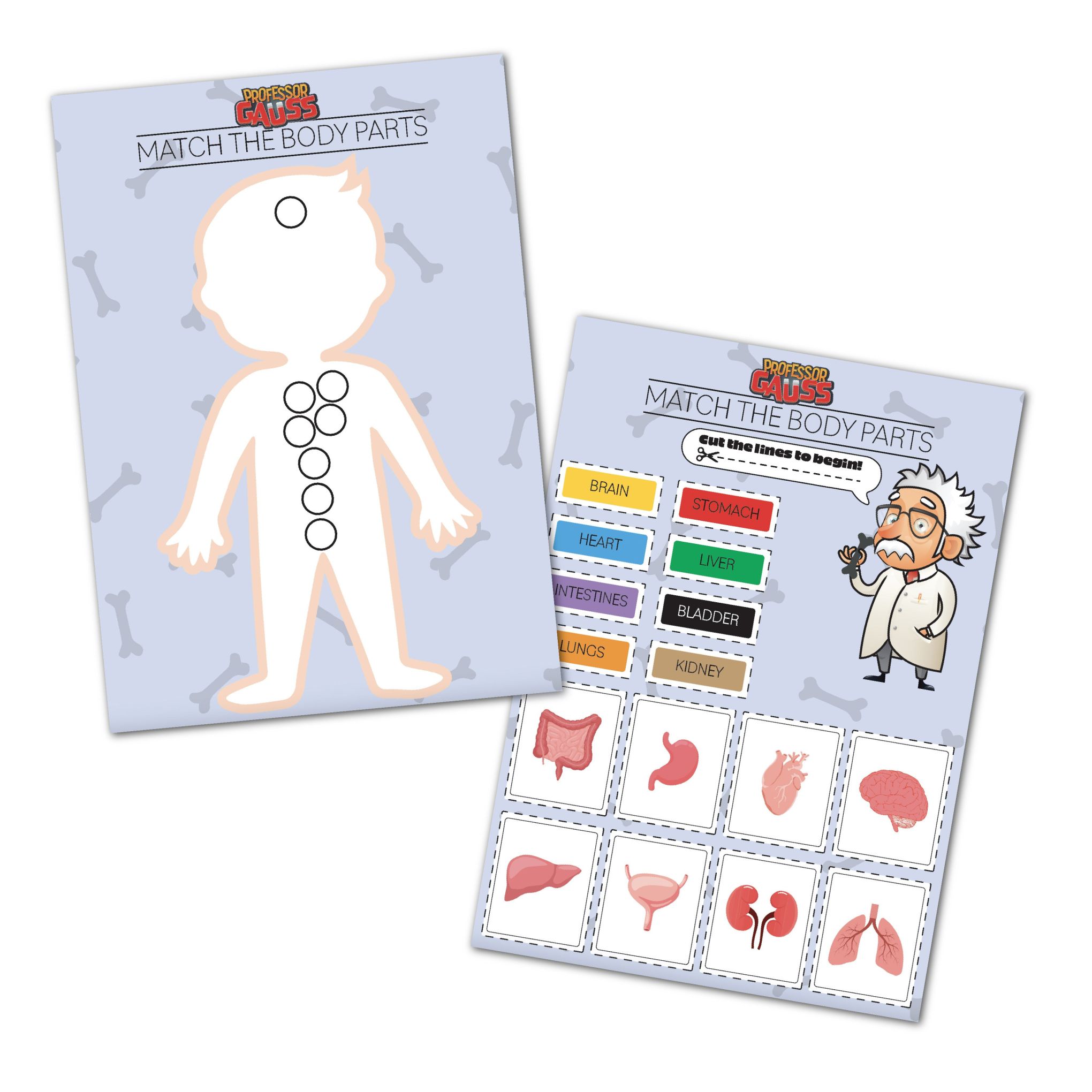 Key Stage 2 Printed Magnet Game - Body Parts