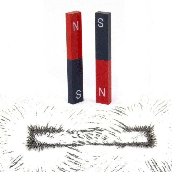 Magnet education store